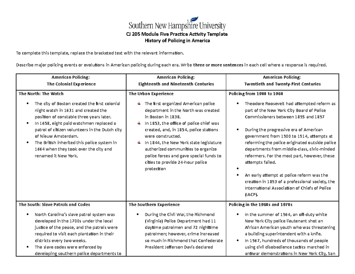 CJ 205 Module Five Practice Activity Template - CJ 205 Module Five ...