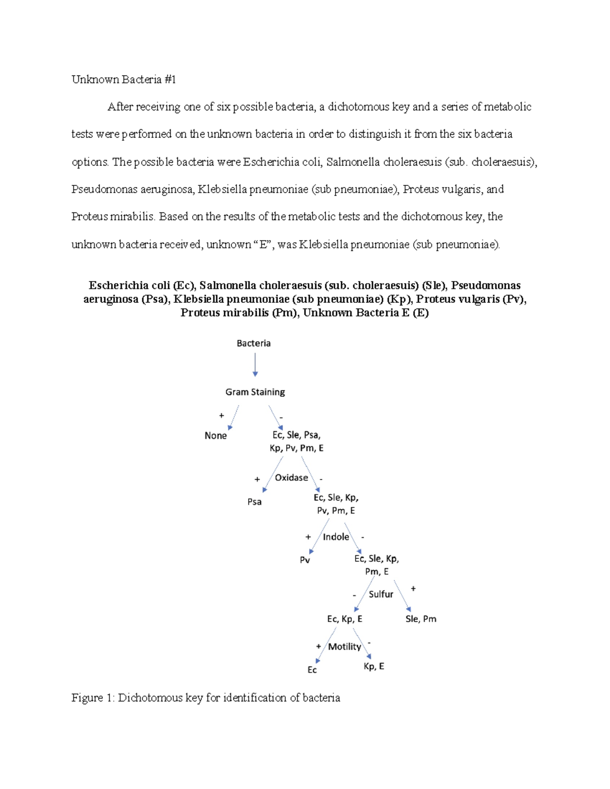 Unknown Bacteria Report 1 - Unknown Bacteria # After receiving one of ...