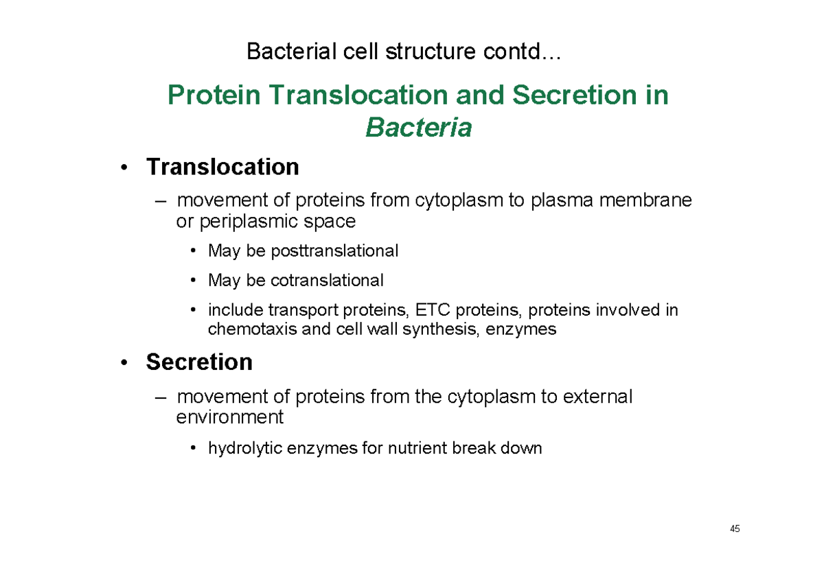 7:26-27 Cell Struc Lectures - Protein Translocation and Secretion in ...