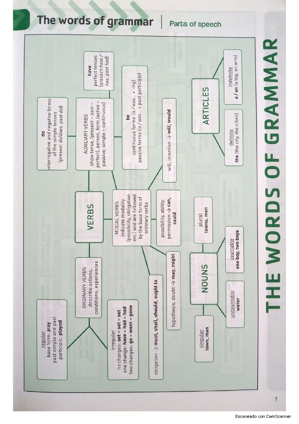 THE Words OF Grammar Complete - regular do base form: play ...