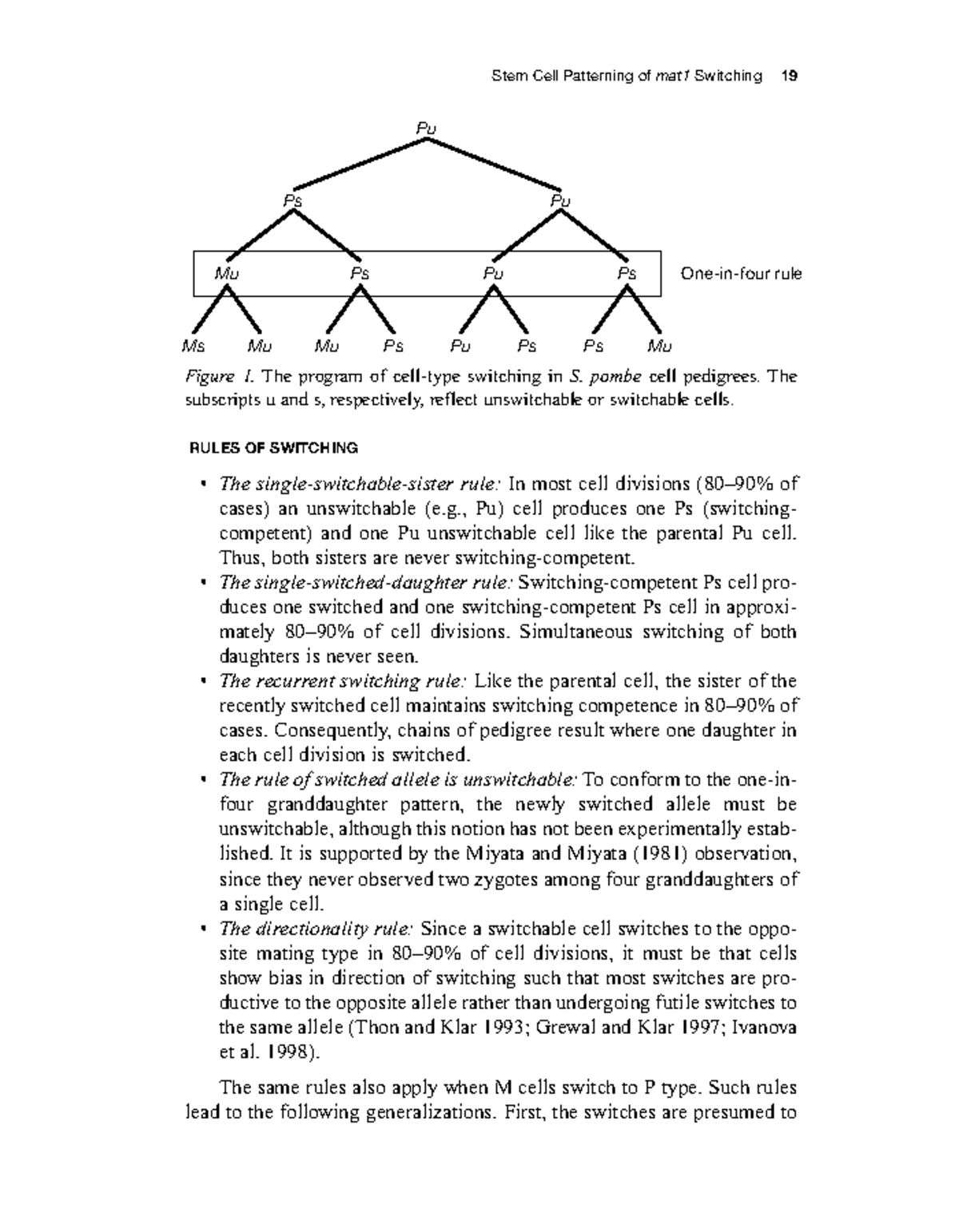 Biology - STEM-7 - Stem Cell Patterning of mat1 Switching 19 RULES OF ...