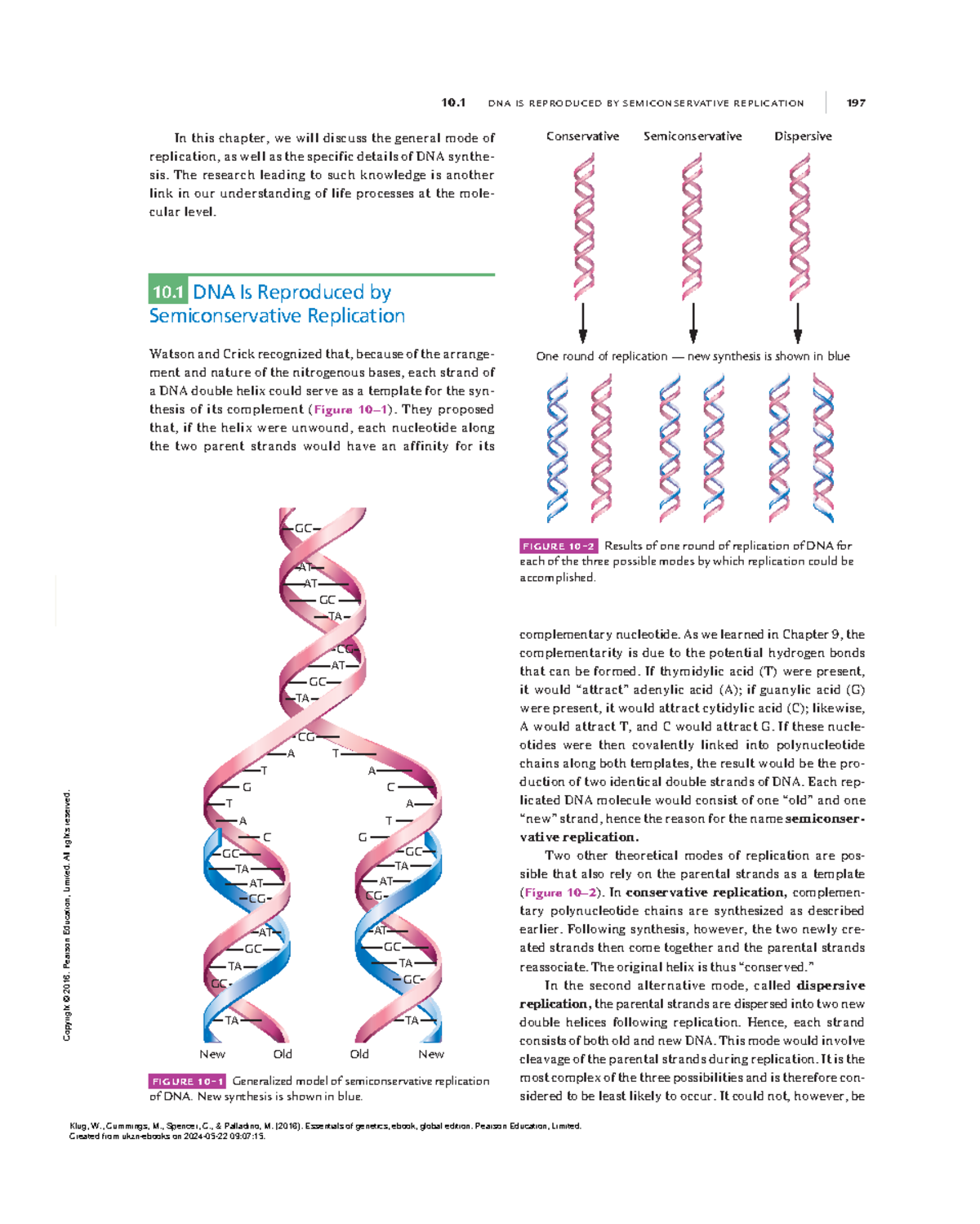 Essentials of Genetics, EBook, Global Edition - (10 DNA Replication and ...