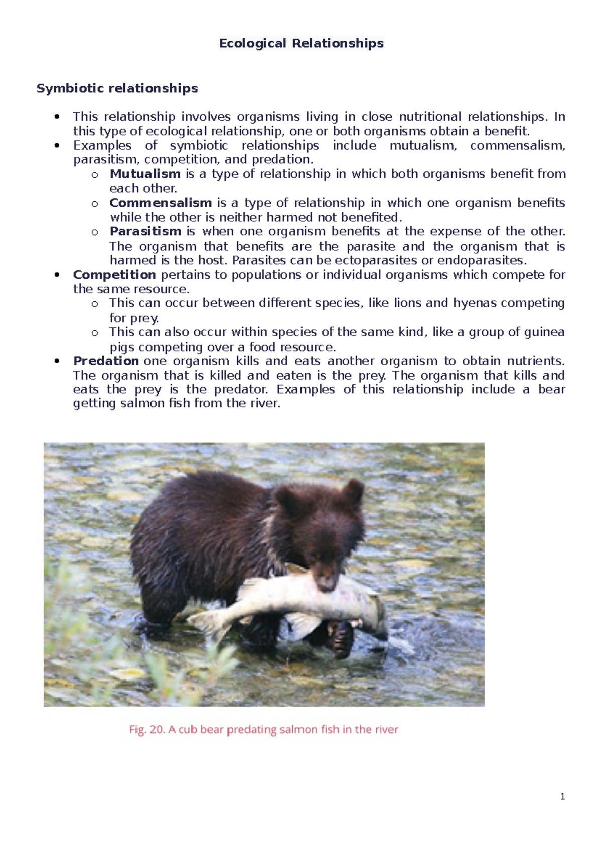 Ecological Relationships - Ecological Relationships Symbiotic ...