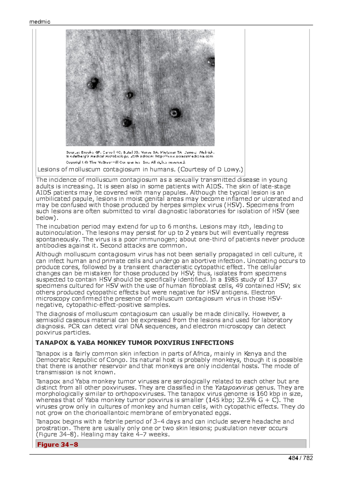 Jawetz s Medical Microbiology Twenty Fifth Edition Lange Basic Science -401-500-86 - Lesions of ...