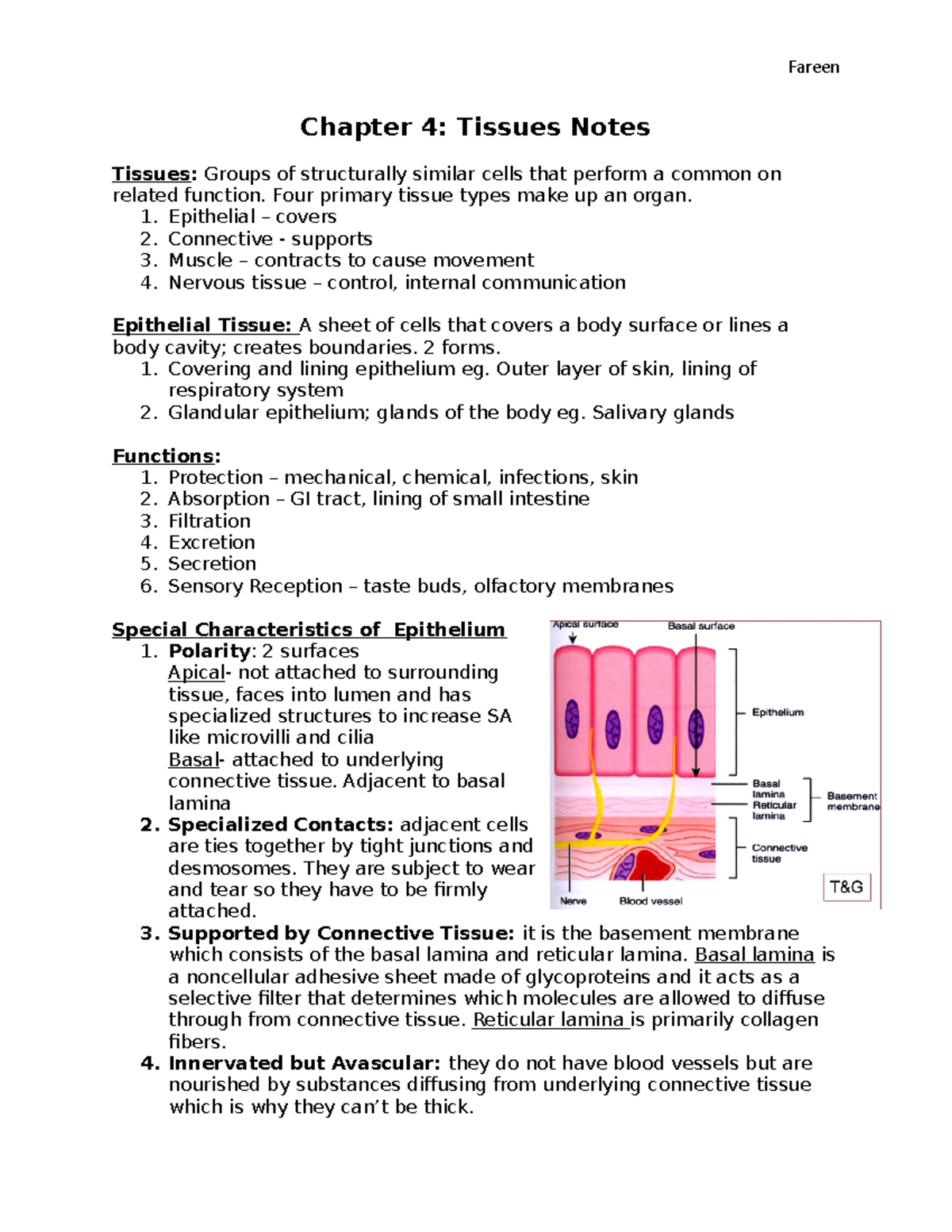 Chapter 4 Tissues Notes - Chapter 4: Tissues Notes Tissues: Groups of ...