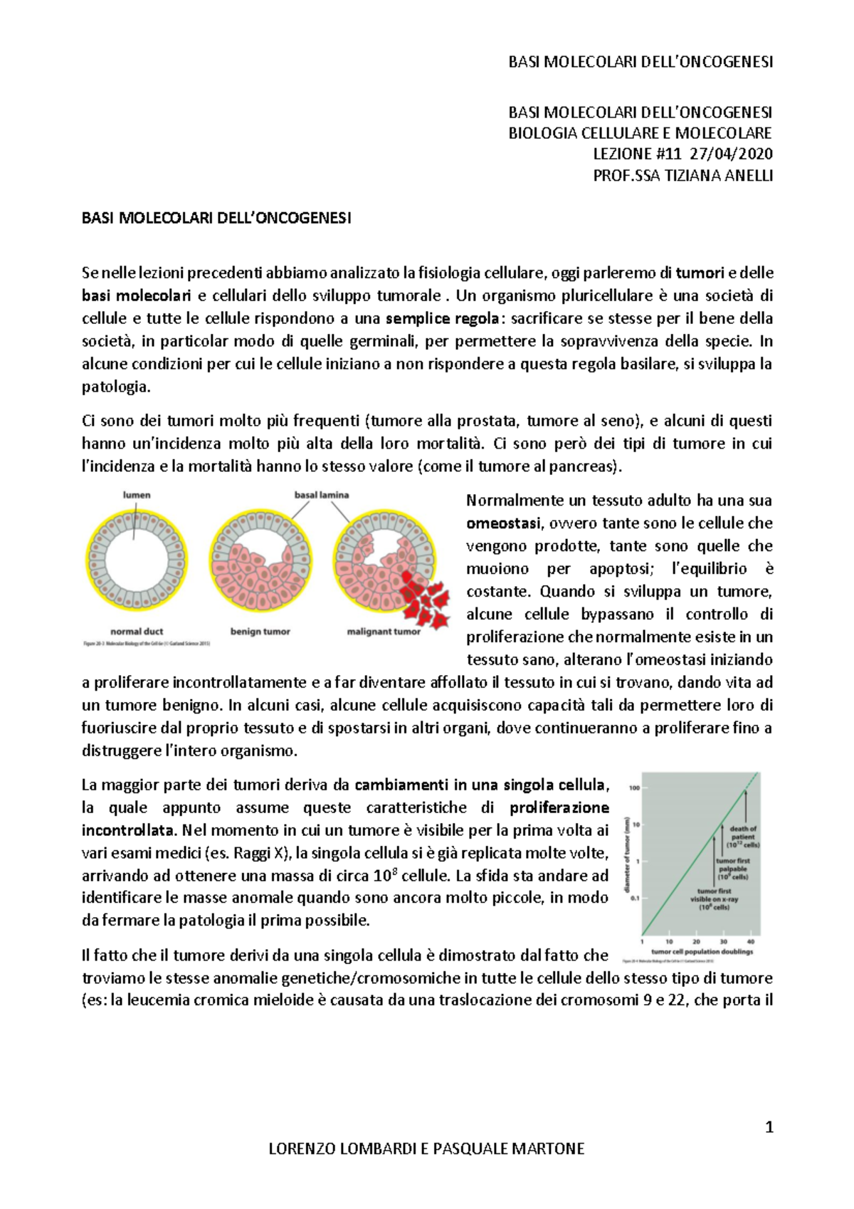 11 BASI Molecolari DELL’ Oncogenesi - 1 BASI MOLECOLARI DELL’ONCOGENESI ...