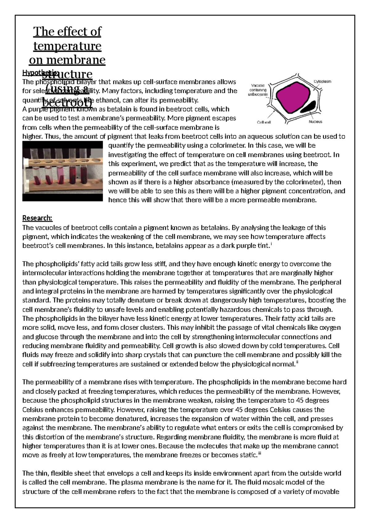 Beetroot practical - Hypothesis: The phospholipid bilayer that makes up ...