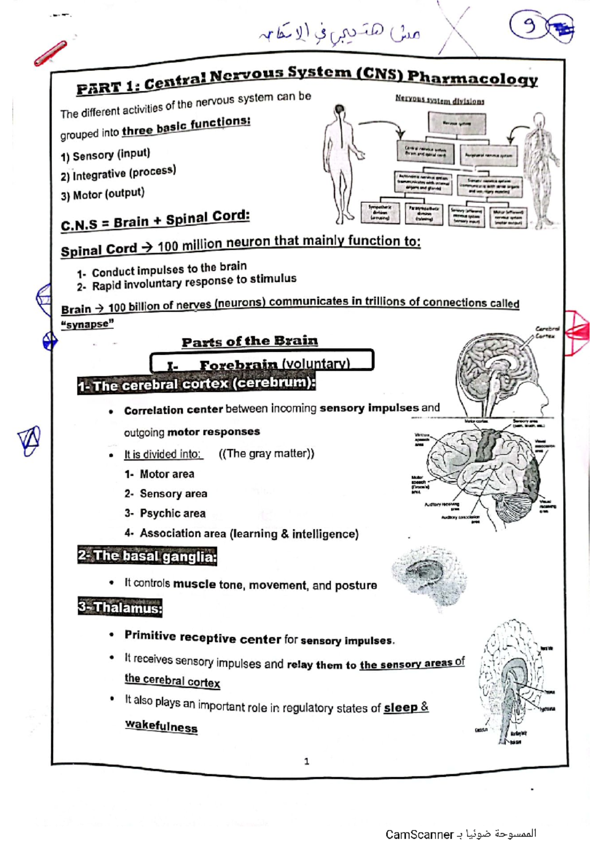 Intro to Central Nervous System - Pharmacology (2) - Studocu