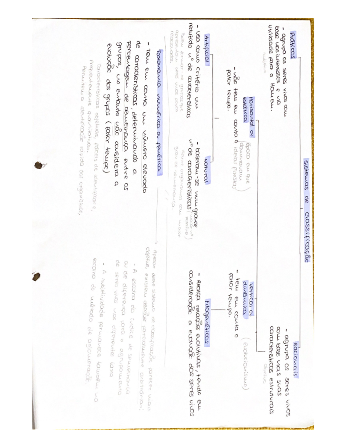 Sistemas de classificação- bio11 resumo em esquema - Biologia e ...