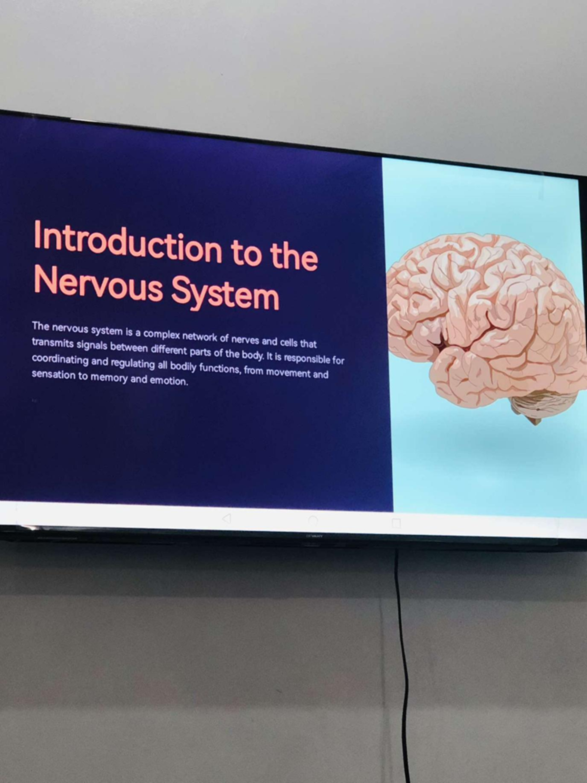 Scan 24 Nov 24 17·57·23 - Nervous System Pdf - Introduction to the Nervous System The nervous ...