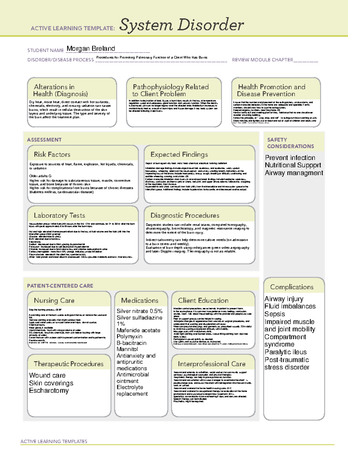 Procedures for Promoting Pulmonary Function of a Client Who Has Burns ...