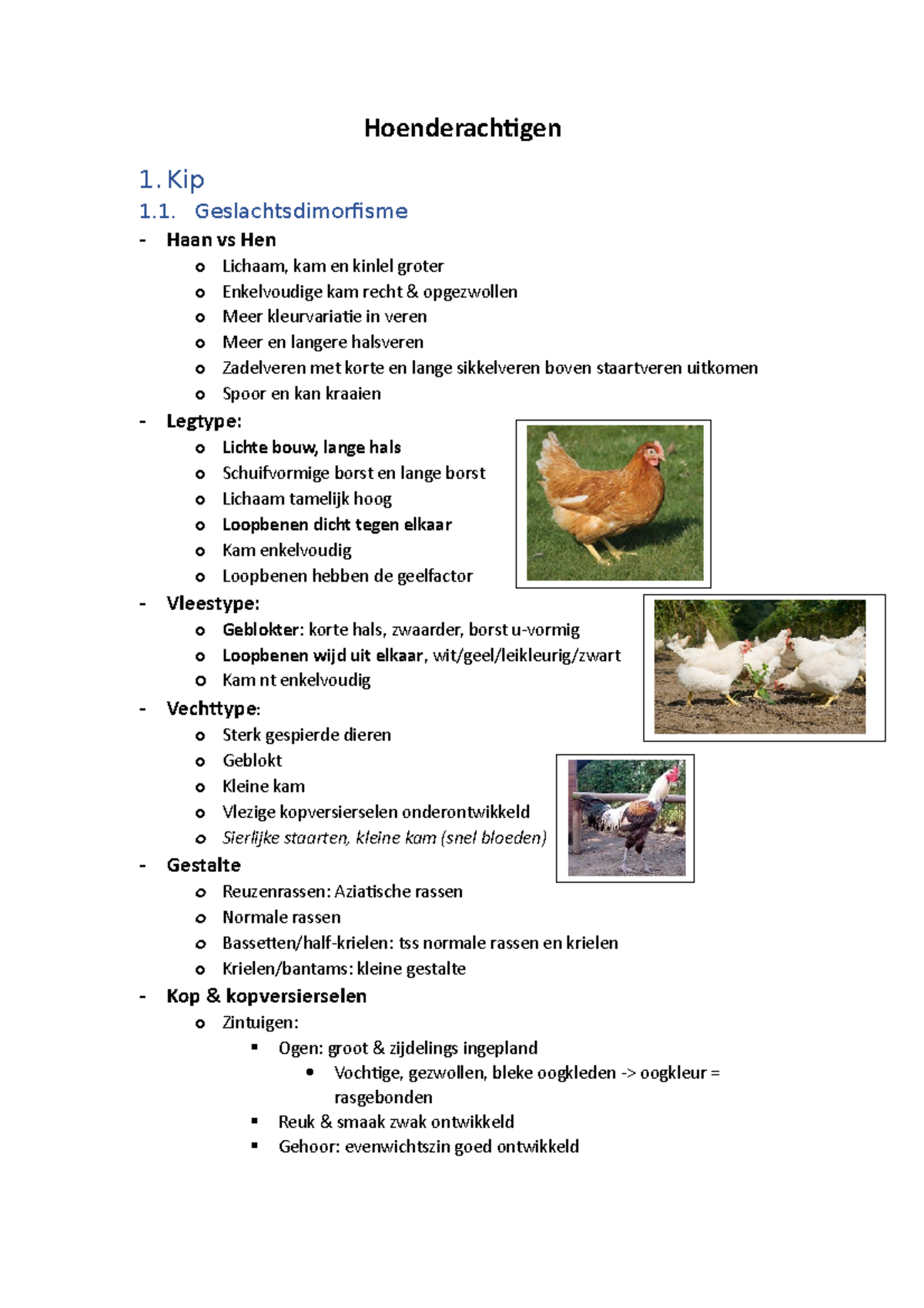 Hoenderachtigen - Te kennen hoenders met kenmerken - Hoenderachtigen 1 ...