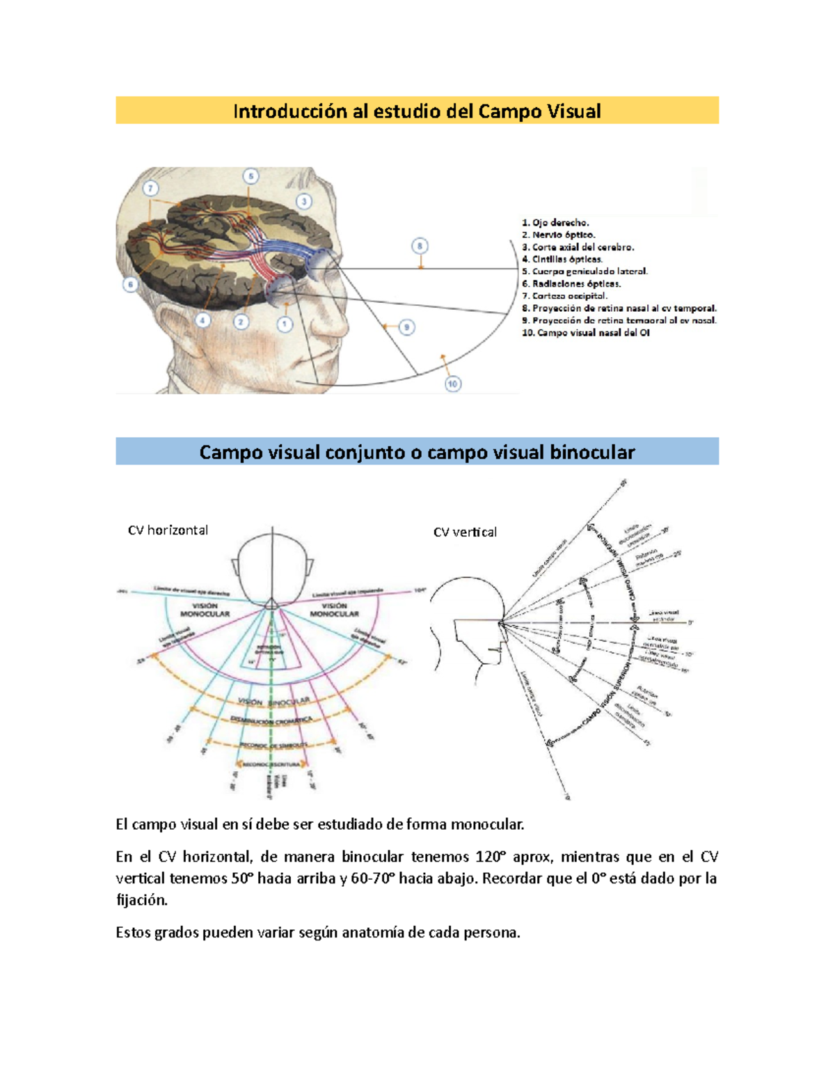 Introducción al estudio del CV - Introducción al estudio del Campo ...