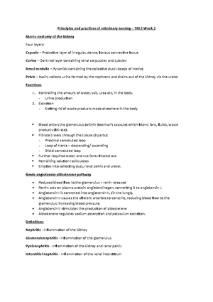 AQA GCSE Combined Science Chemistry Paper 1 Foundation Mark Scheme - F ...