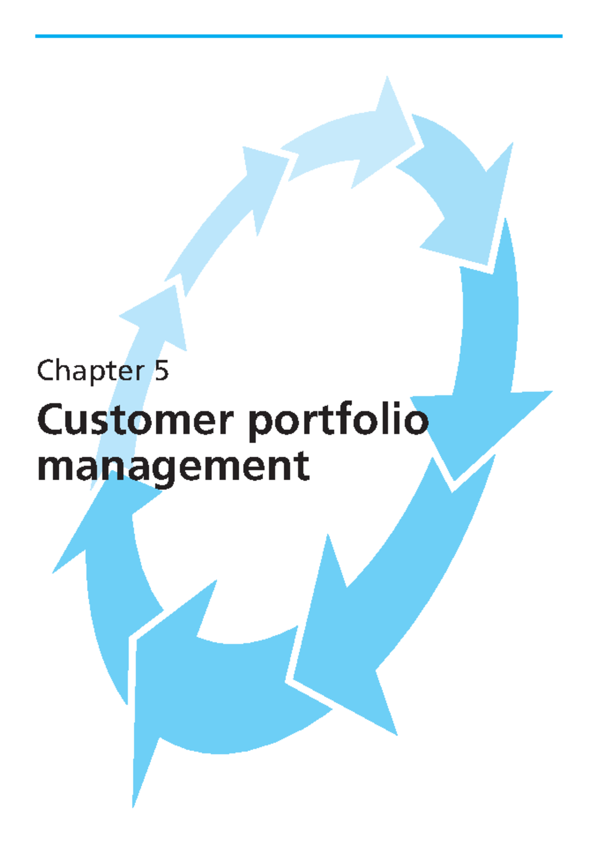 7. Chapter 5 - Customer portfolio management - Customer portfolio ...