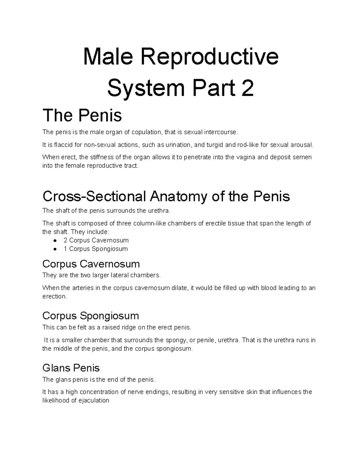 Male Reproductive System Pt2A&P Lecture - Male Reproductive System Part ...
