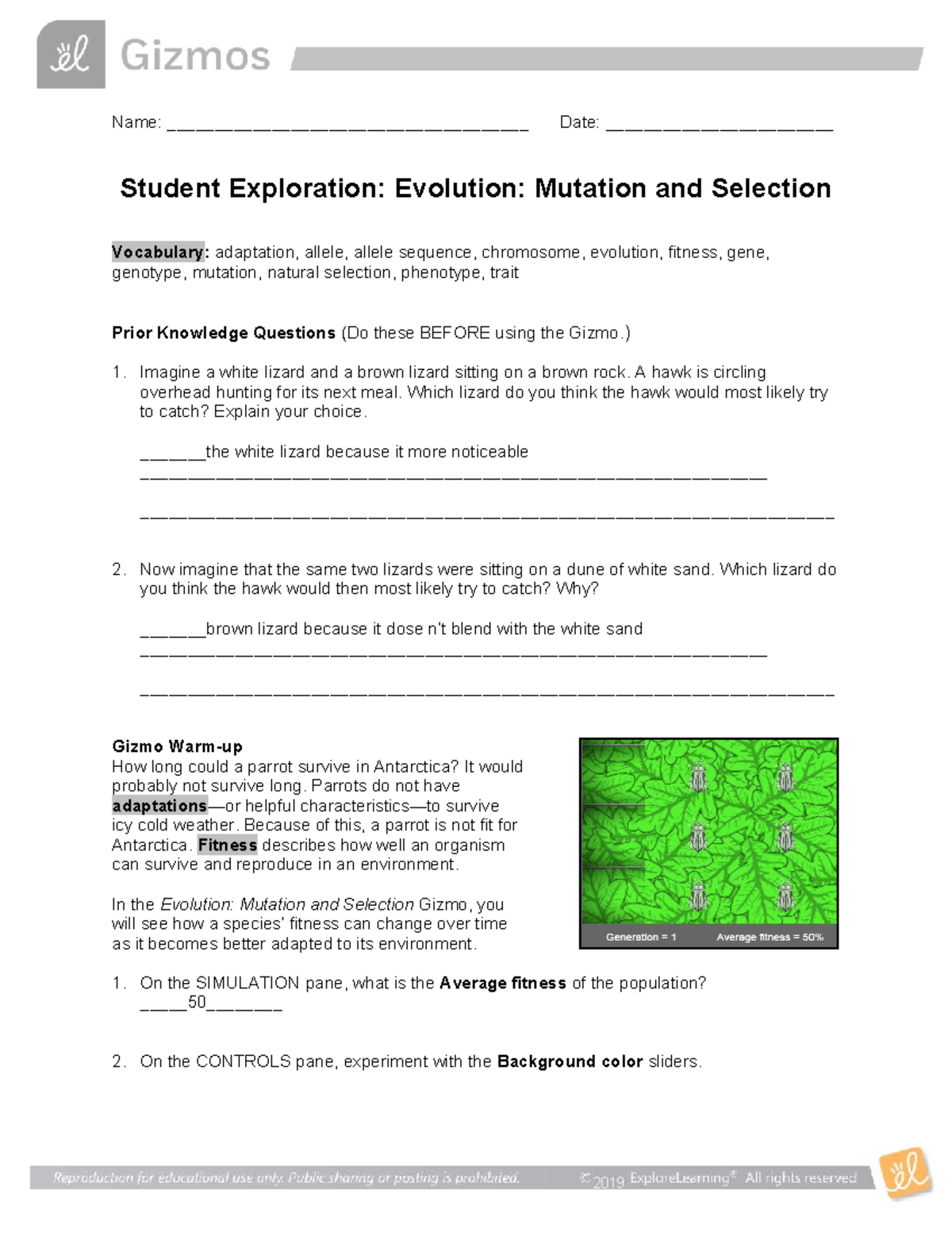 Copy of SBI3UW-Gizmos-Mutation Selection - Name ...