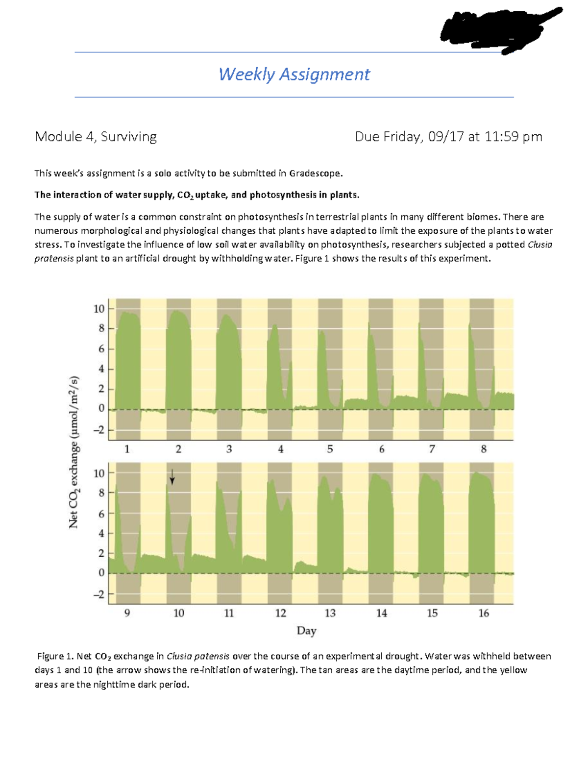 Mod4weeklyassignment - Weekly Assignment Module 4, Surviving Due Friday ...