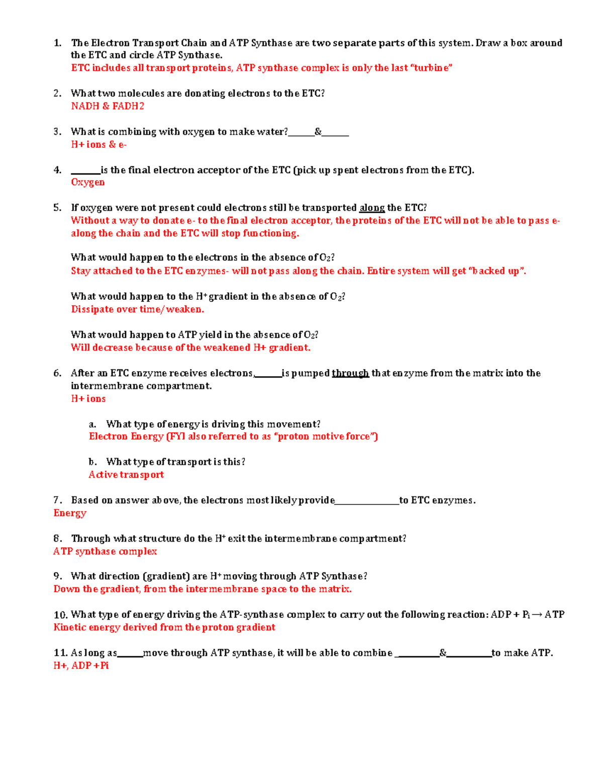 Lecture handout - Cellular Respiration (week4) - KEY - The Electron ...
