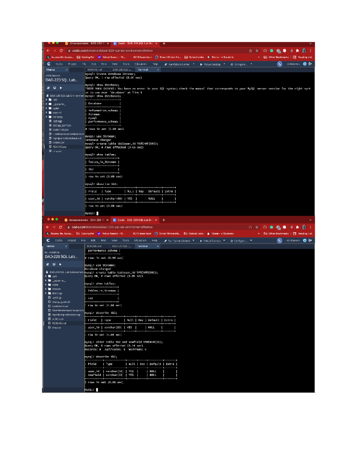 DAD-1-4 - Week one assignment on making a database for the first time ...