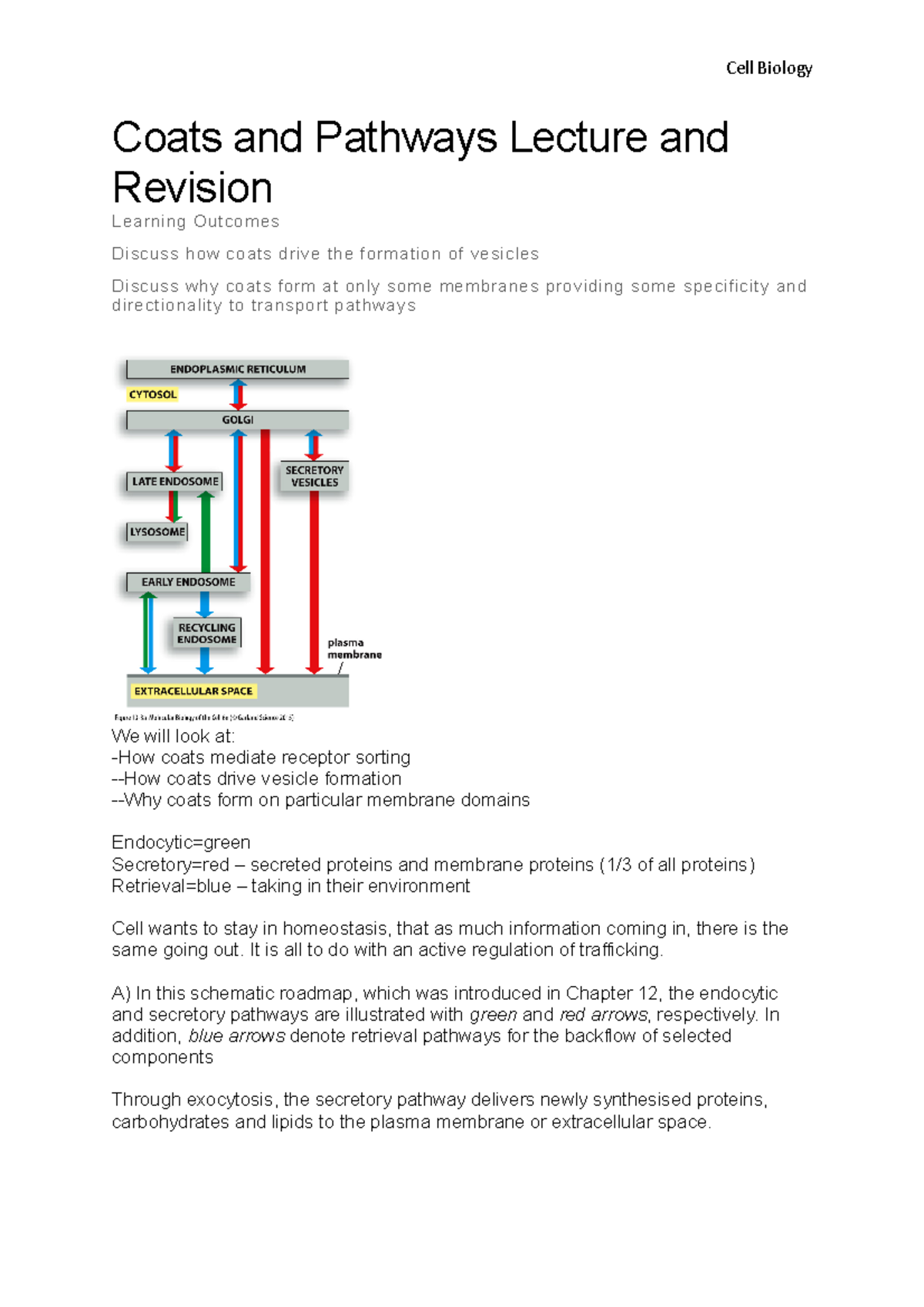 Coats and Pathways Lecture and Revision - Cell Biology Coats and ...