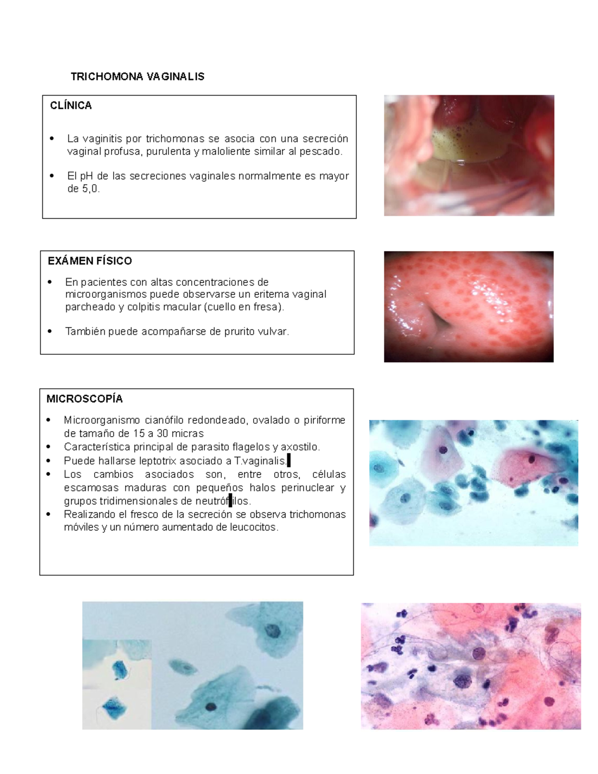 Deber Clinica, Examne Fisico - TRICHOMONA VAGINALIS CLÍNICA La ...
