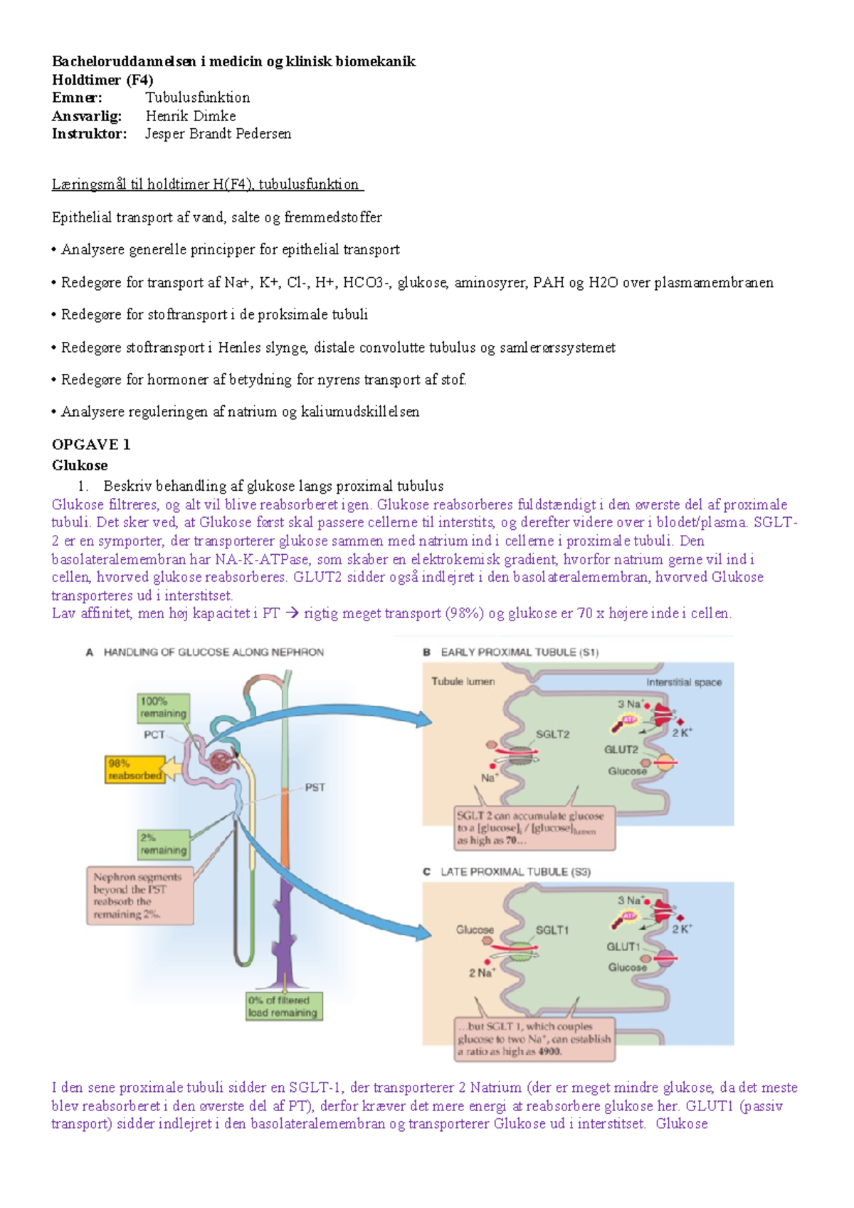 H(F4) tubulusfunktion- holdtimer B8 F24 - Bacheloruddannelsen i medicin og klinisk biomekanik ...