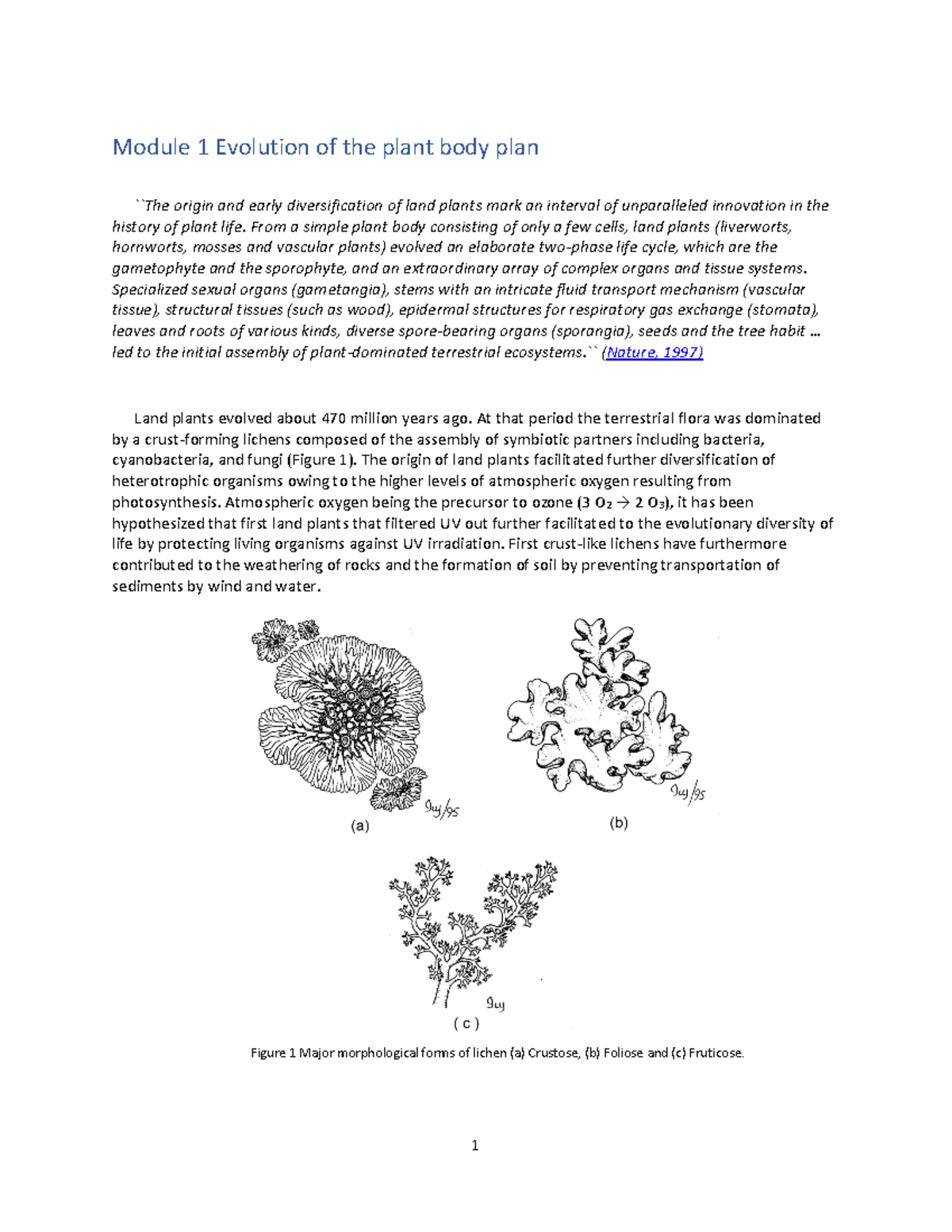Module 1 Evolution of the plant body plan - From a simple plant body ...