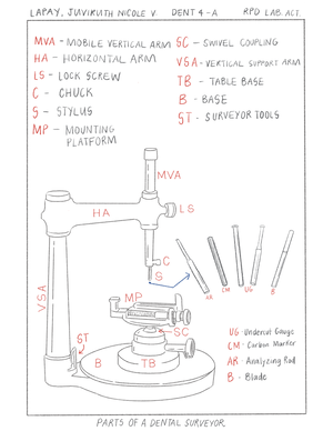 DOH Finals - Oral Histology Notes - PERIODONTAL LIGAMENT Fibrous ...