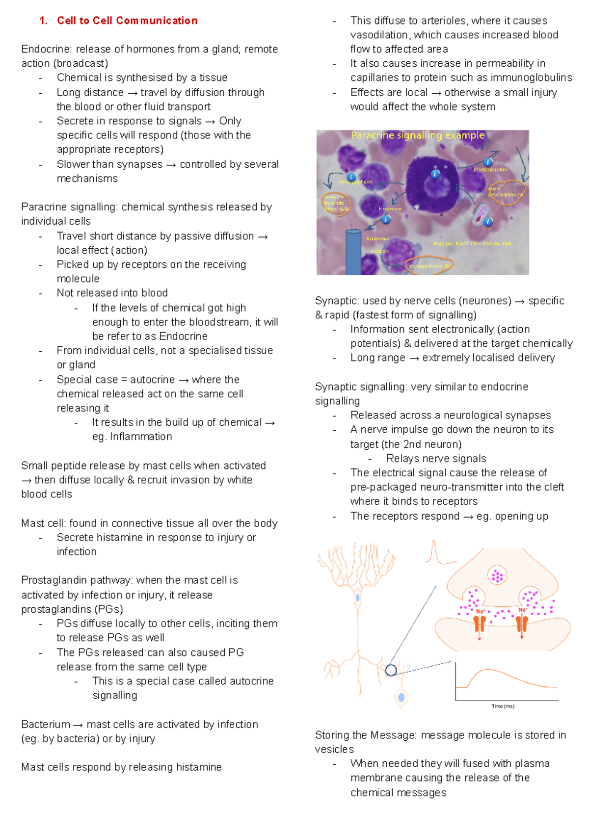 Cell Signalling Notes Cell To Cell Communication Endocrine Release