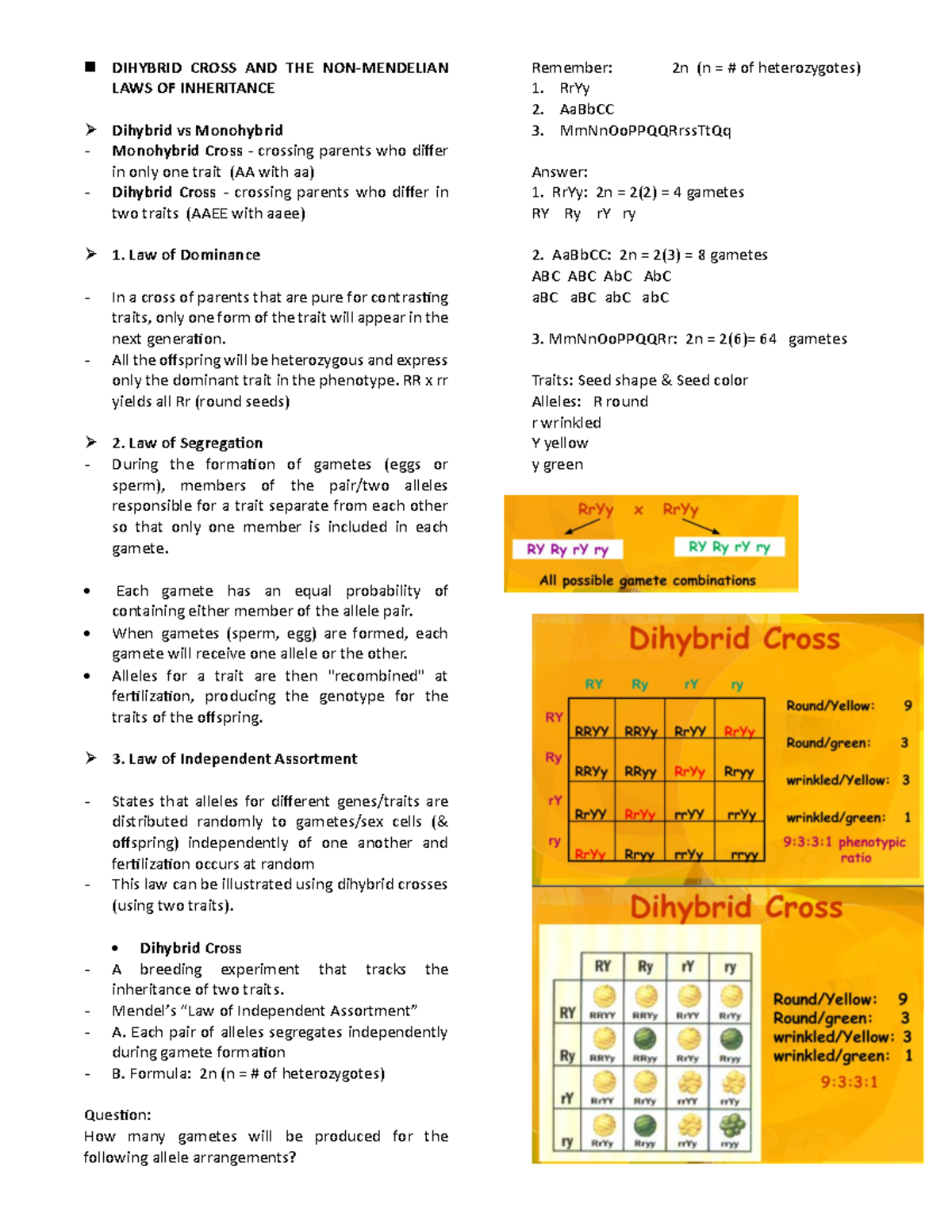 Dihybrid study guide - DIHYBRID CROSS AND THE NON-MENDELIAN LAWS OF ...