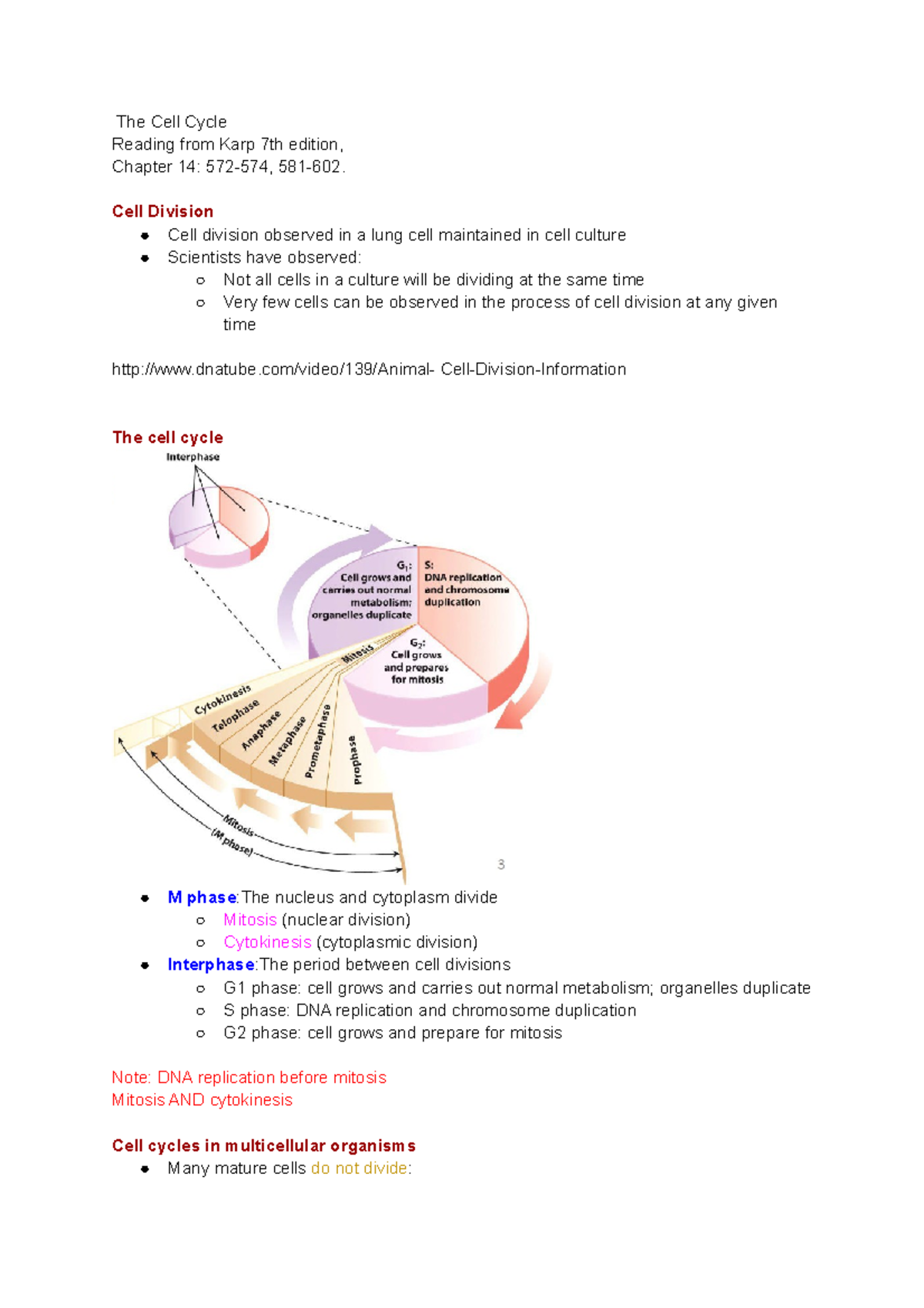 Week 6 - The Cell Cycle - BIO130_Lecture_ - The Cell Cycle Reading from ...