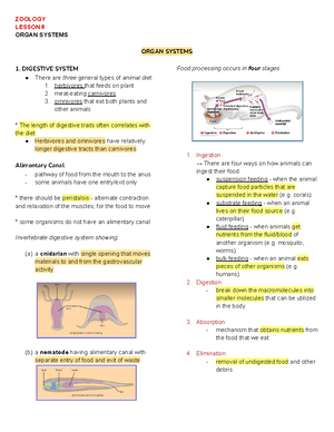 Zoology - Organ Systems - ZOOLOGY LESSON 6 ORGAN SYSTEMS ORGAN SYSTEMS ...