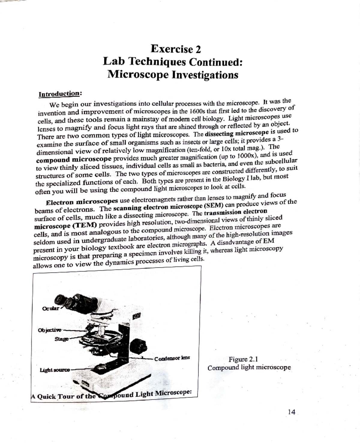 Ex 2 - Microscope investigations - Exercise 2 Lab Techniques Continued ...