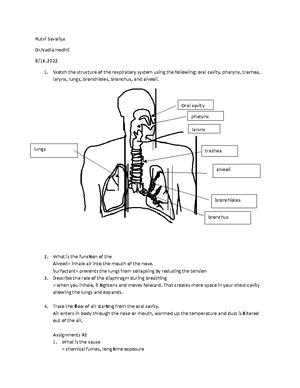 AP - Lab Ex. 17.pdf completed - BIO 107 - Studocu
