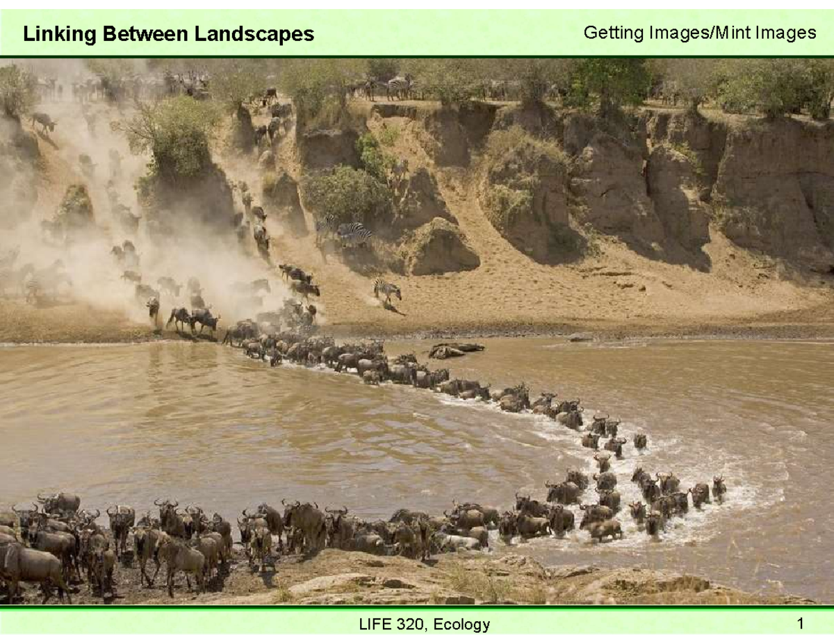 Lec 9a Linking Between Landscapes - 1 Linking Between Landscapes ...