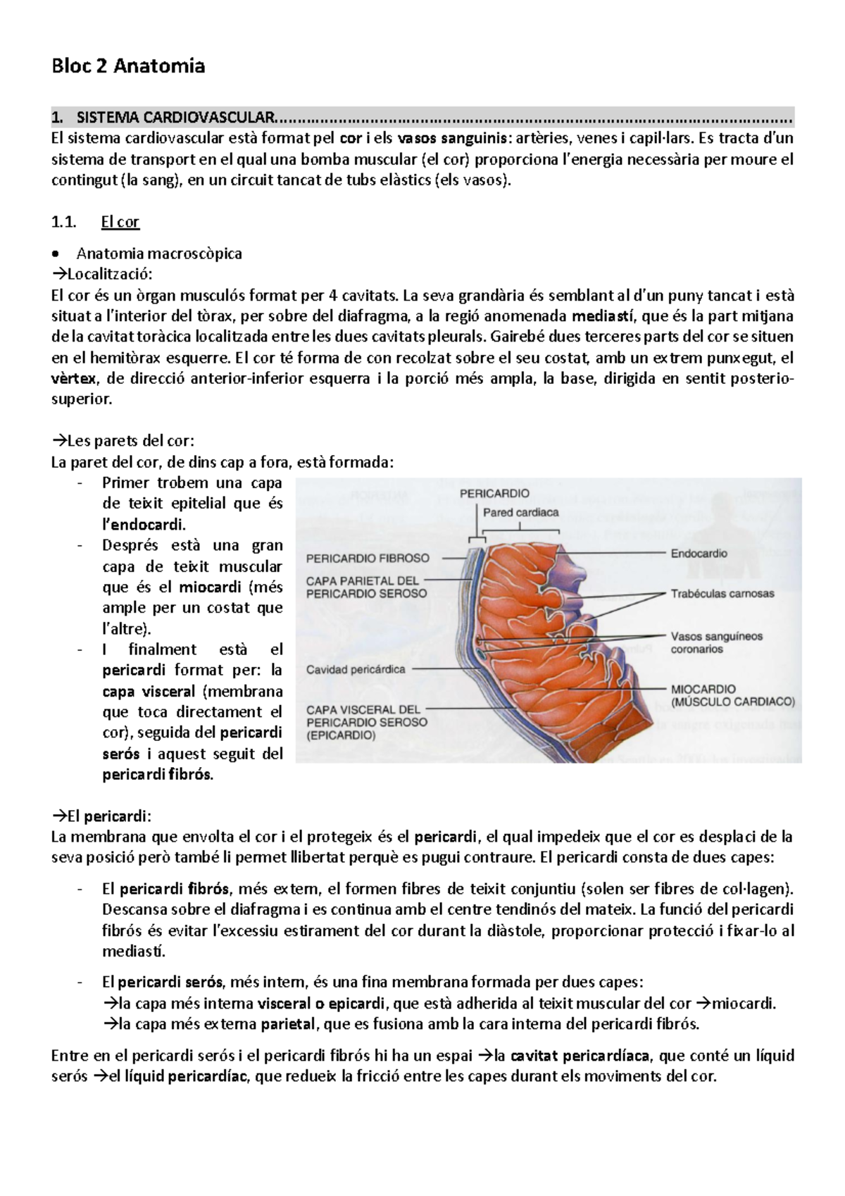 BLOC 2 - Resum Anatomia. Infermeria UB-Clínic - Warning: TT: undefined function: 32 Warning: TT ...