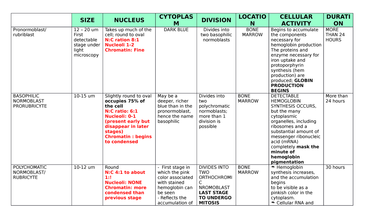 RBC Stages - SIZE NUCLEUS CYTOPLAS M DIVISION LOCATIO N CELLULAR ...