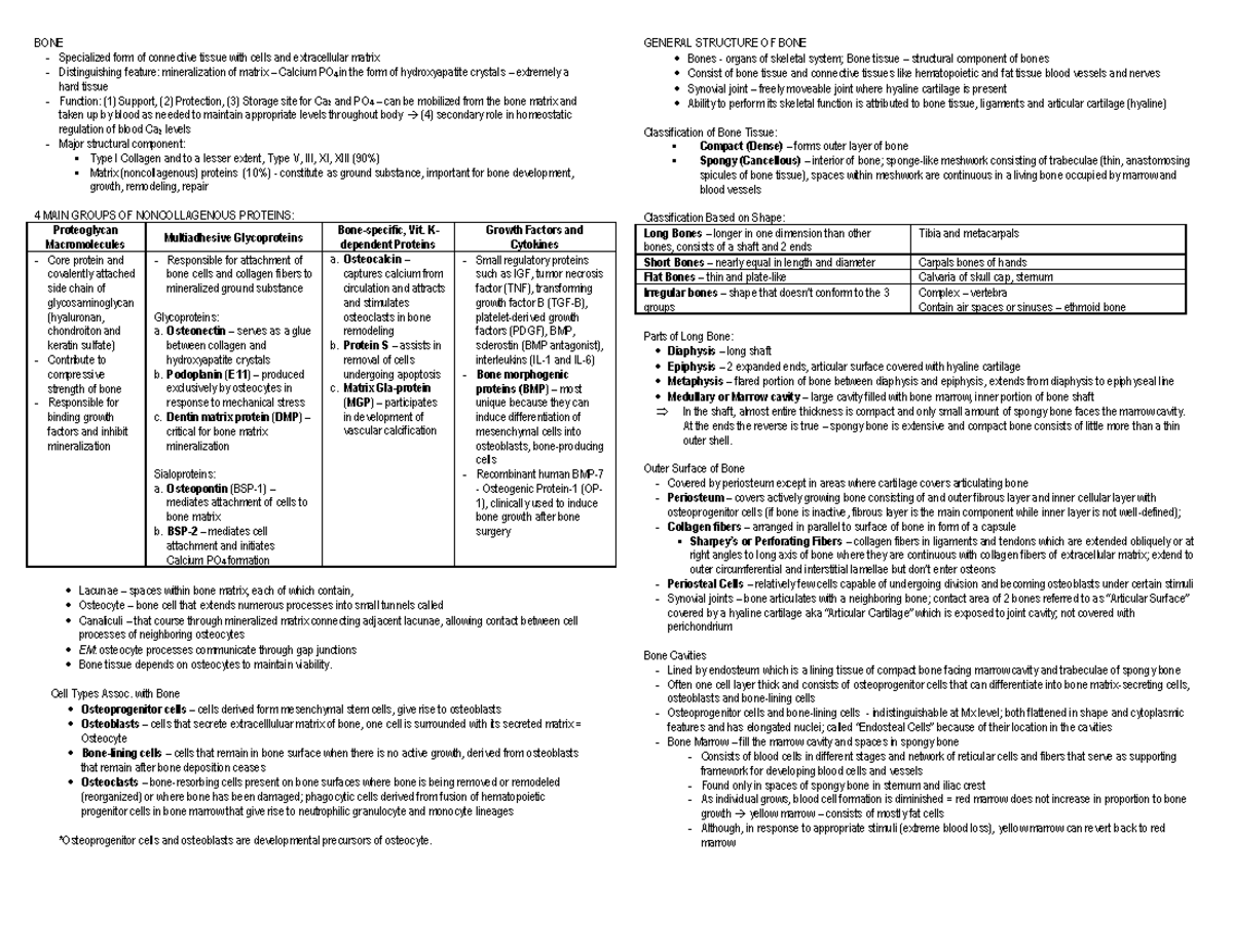 Bone - med notes - BONE Specialized form of connective tissue with ...