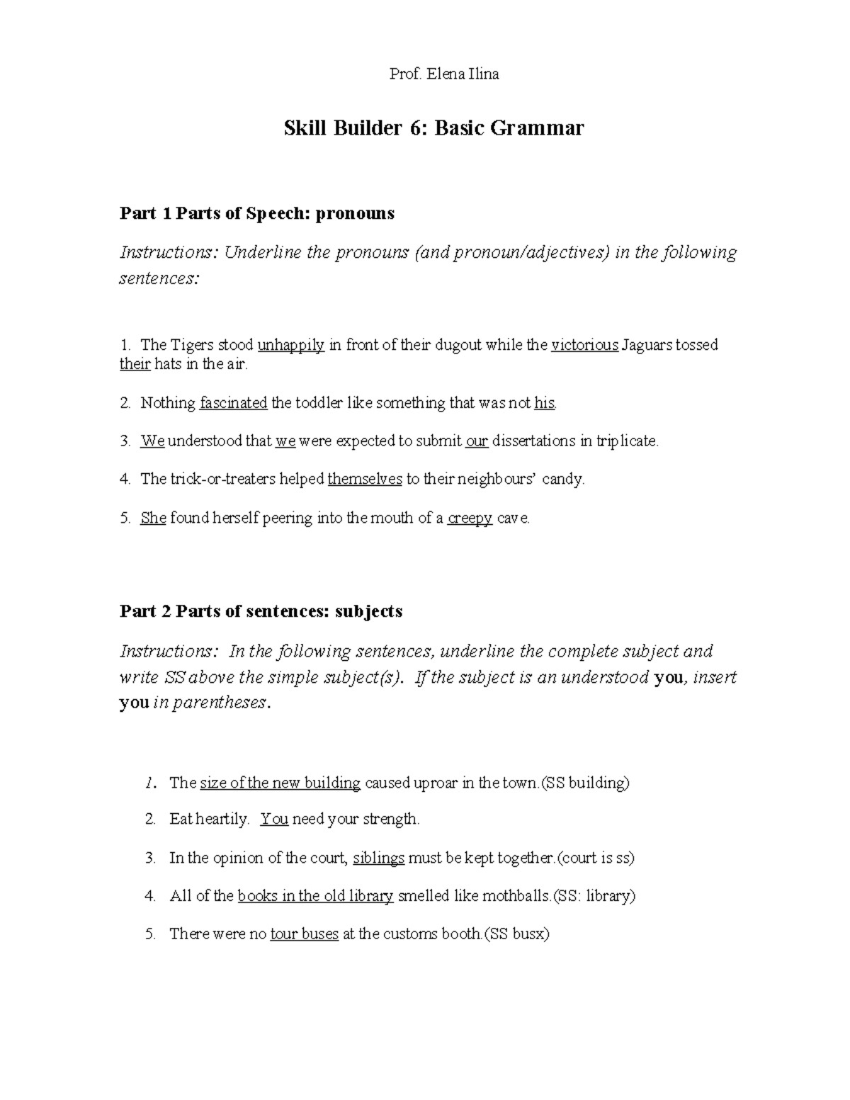 Skill Builder 6 Basic Grammar - Prof. Elena Ilina Skill Builder 6 ...