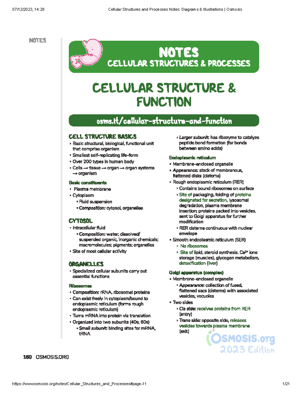 Cellular Structures and Processes Notes Diagrams & Illustrations ...