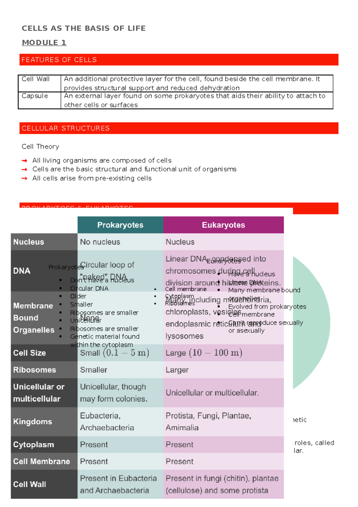 Year 11 Biology Module 1 Notes - CELLS AS THE BASIS OF LIFE MODULE 1 ...