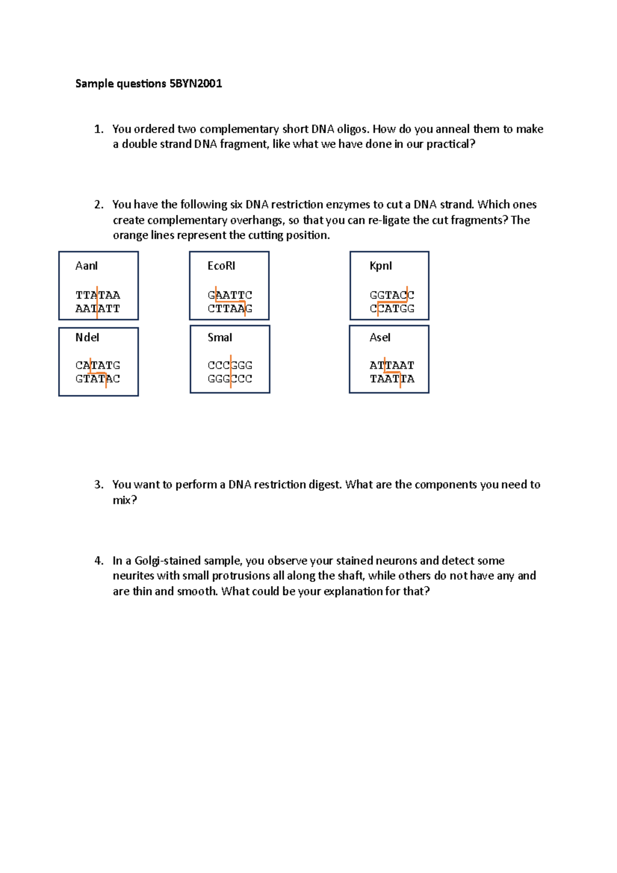 Sample questions 5BYN2001 2024 - Sample ques+ons 5BYN 1. You ordered ...