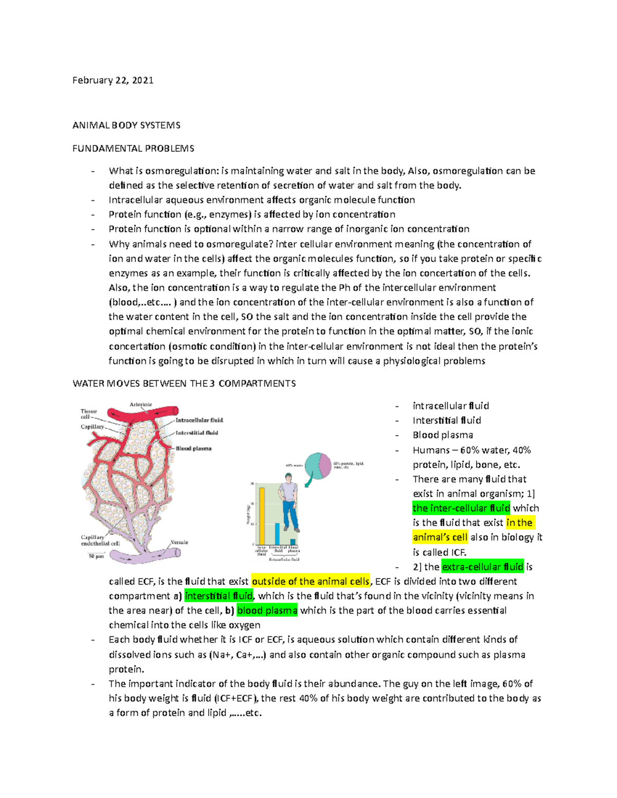 February 22 - Lecture Notes - February 22, 2021 ANIMAL BODY SYSTEMS ...