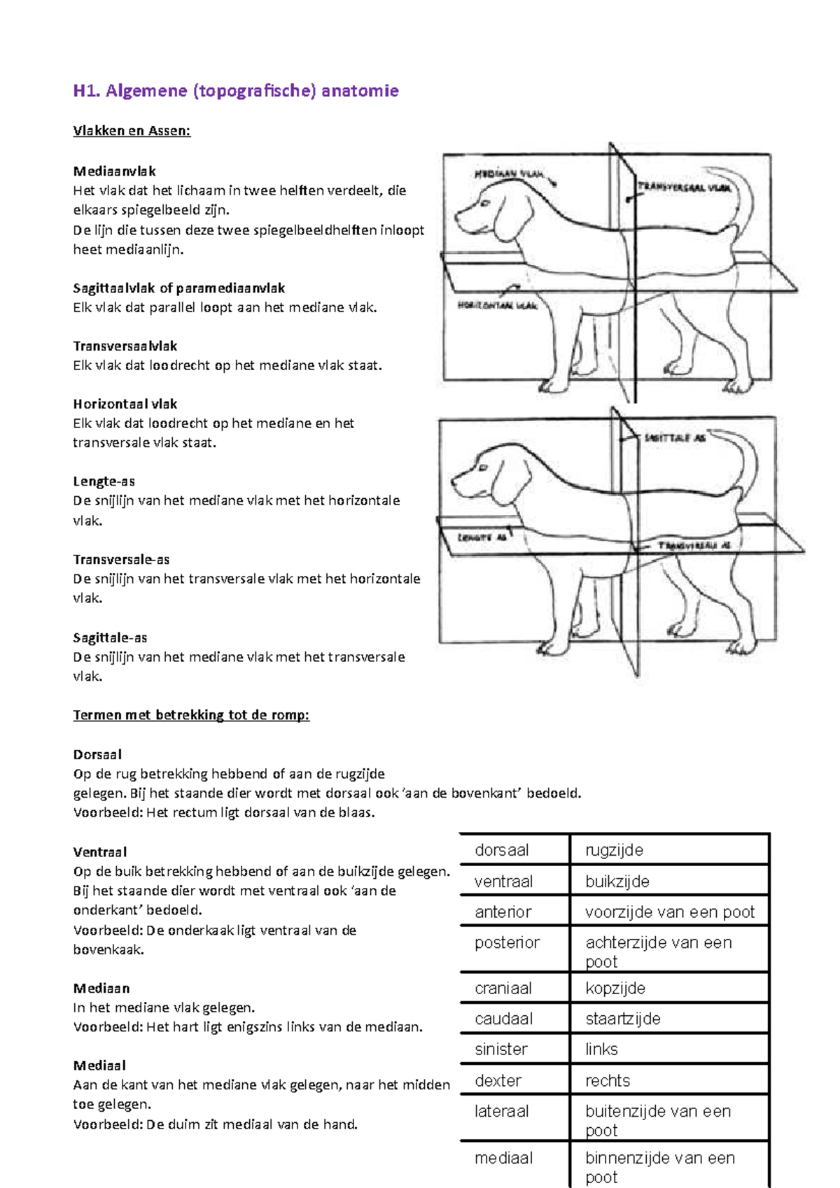 Anatomie en Klinische onderzoek LB - H1. Algemene (topografische ...
