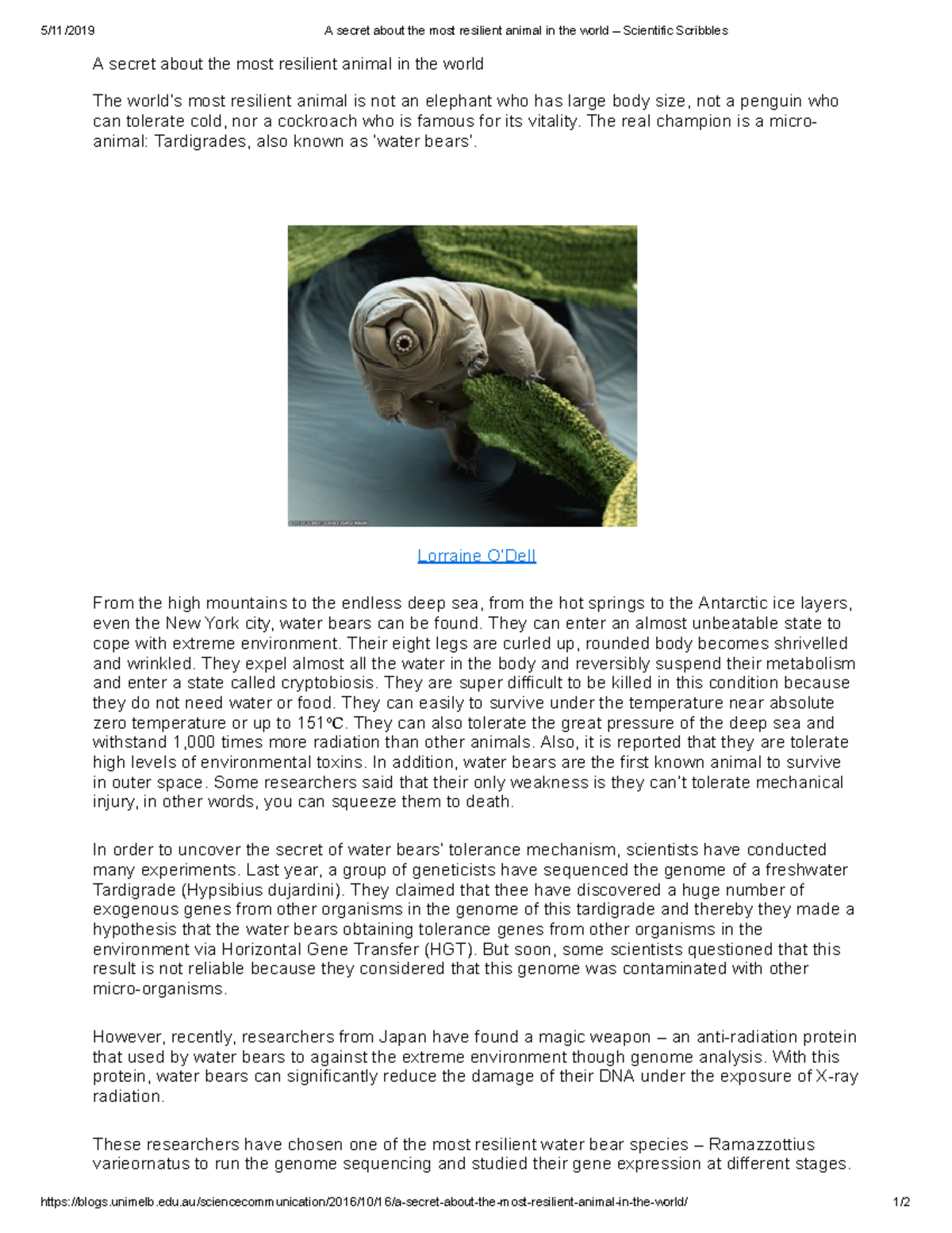 A secret about the most resilient animal in the world – Scientific ...