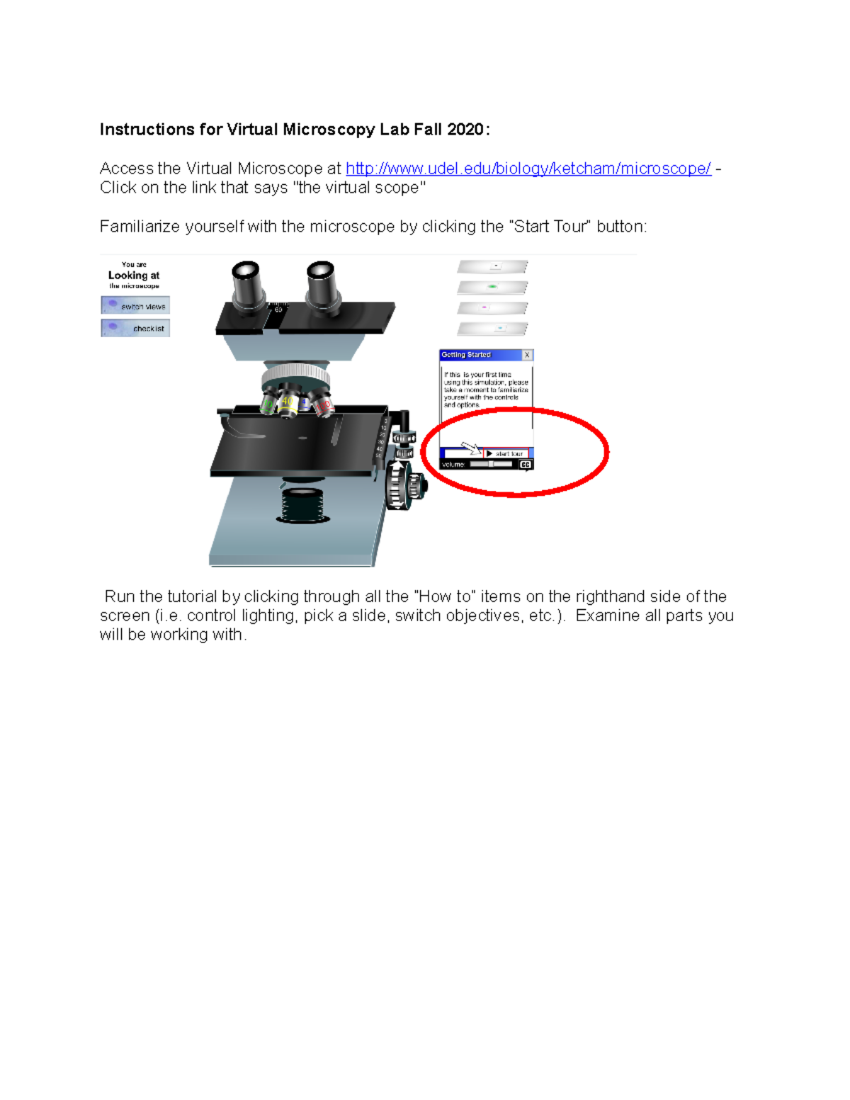 Protocols Microscopy Lab (online)-1-1 - Instructions for Virtual Microscopy Lab Fall 2020 ...