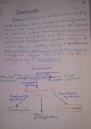 Classification of herbicides - CLASSIFICATION OF HERBICIDES Based on ...