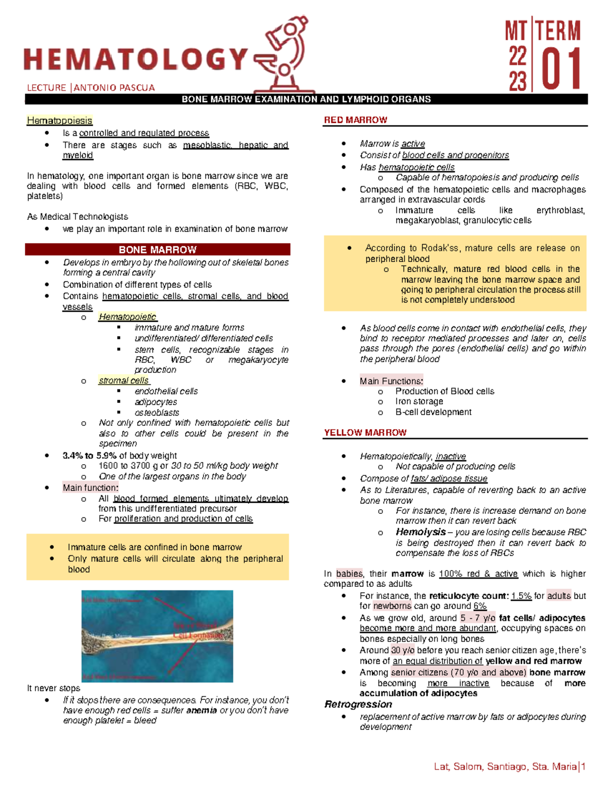 -LEC 2- BONE Marrow Examination AND Lymphoid Organs - LECTURE |ANTONIO ...