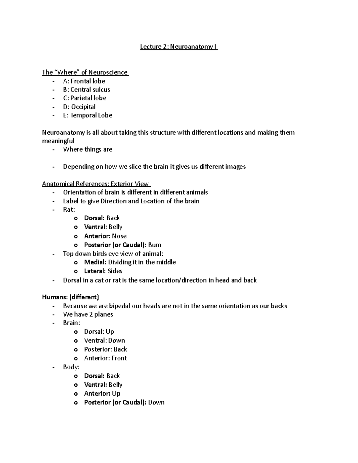 Neuroanatomy I - Ian Weaver - Lecture 2: Neuroanatomy I The “Where” of ...